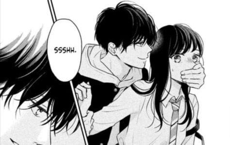 Top 30 Shoujo Manga You Must Read Now - Bakabuzz