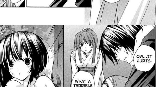 33 Best Harem Manga to Add to Your Reading List - Bakabuzz